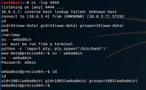 Upgrade A Simple Shell To A Fully Interactive Tty Programmer Sought
