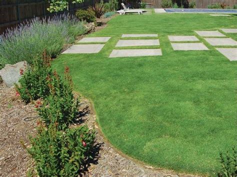 How To Identify Buffalo Grass Lawn Model