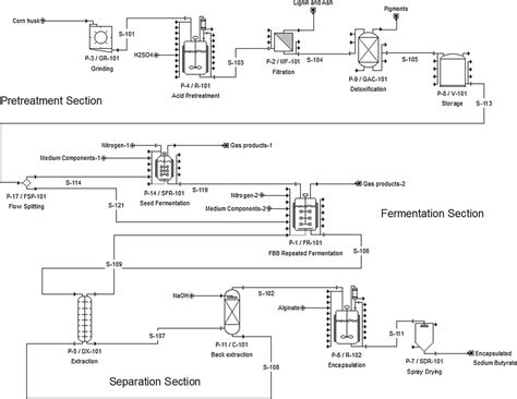 Butyric Acid Fermentation Definition Principle Steps Uses
