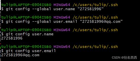 Git工具,github Gitee Csdn博客 Git工具,github Gitee Csdn博客