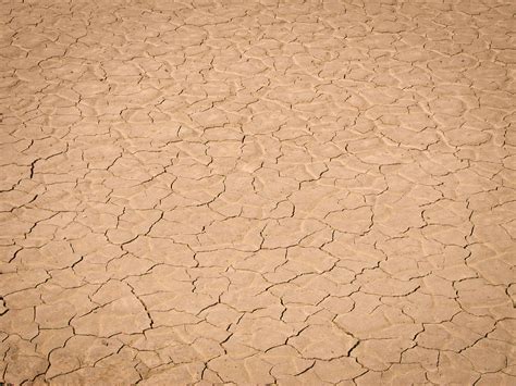 Monoliths Microservices And Microliths By David Cherryhomes Medium