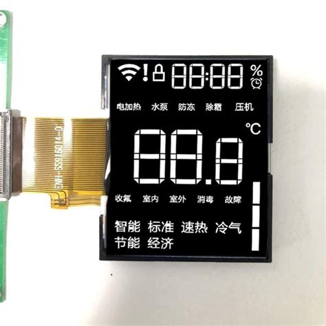Customized Segment LCD Display With Back Light Manufacturers Suppliers Factory ENRICH