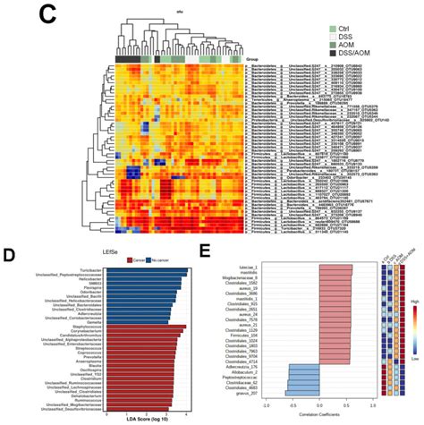Transcriptome Profiling And Metagenomic Analysis Help To Elucidate