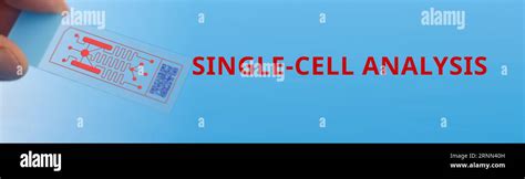 Single Cell Analysis Development Of Microfluidic Devices That Can