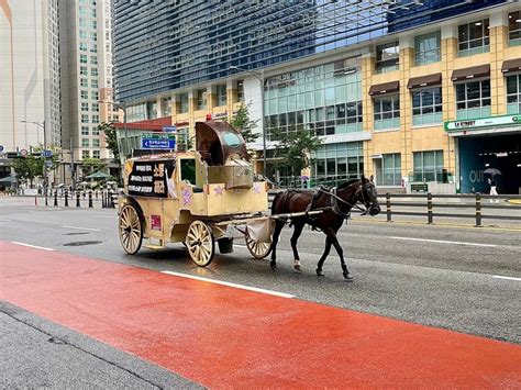 판교 내달린 시위 마차우마무스메 장기 흥행 ‘경고등 대한경제
