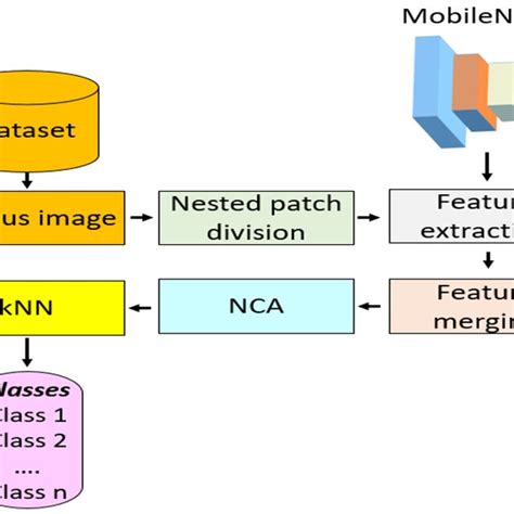 Block Diagram Of The Proposed Mobilenetv2 And Ncabased Fundus Image Download Scientific Diagram