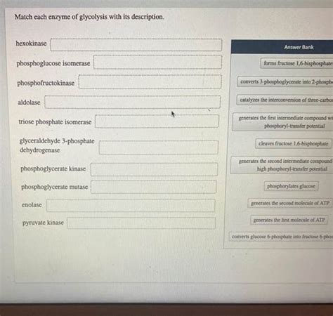 solved match each enzyme of glycolysis with its description
