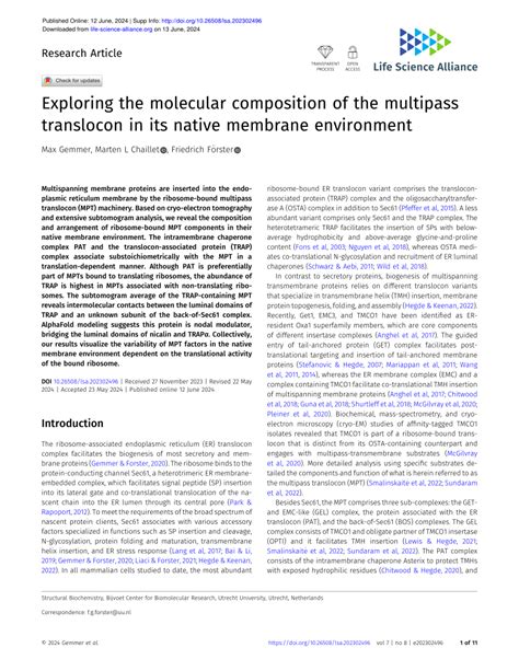 Pdf Exploring The Molecular Composition Of The Multipass Translocon