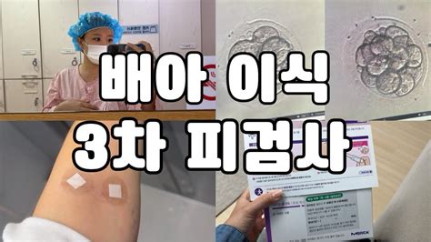시험관 Vlog • 동결배아 이식 후 3차 피검수치 그리고 질정지옥 ㅠ Youtube