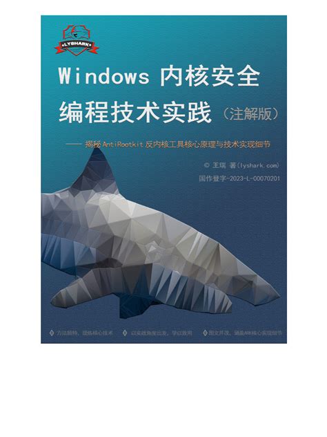 Windows内核安全编程技术实践 Pdf