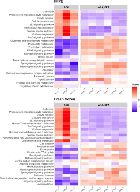 Whole Transcriptome Profiling Of Adrenocortical Tumors Using Formalin