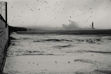 거친 바다 거품 파도 격동하는 바다 구름 낀 하늘 난류 날씨 대양 같은 드라마틱한 등대 등대 구조 등대 풍경 물 바다 바다 경치 바다 분위기 바다