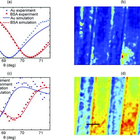 Gradient Mapping A Spr Curves For Bare Gold And Bsa Regions B Download Scientific Diagram