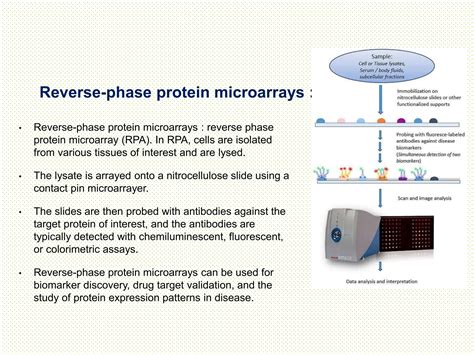 Protein Microarray Types And Approachespptx Protein Microarray Types And Approachespptx