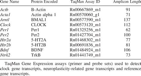 Taqman Oligonucleotide Primers And Probe Sets Used For Pcr Download