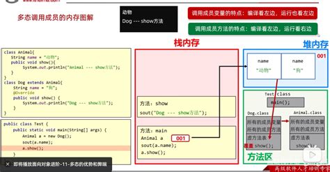 Java编程：静态成员与继承详解 Csdn博客