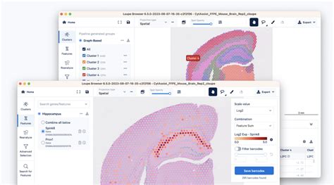 Visium Spatial Platform X Genomics
