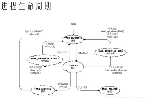 进程的生命周期 进程在其生命周期内的全部状态包括哪几种 csdn博客
