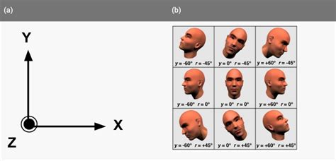 Guide On Implementation Of Face Detectors On Android Applications