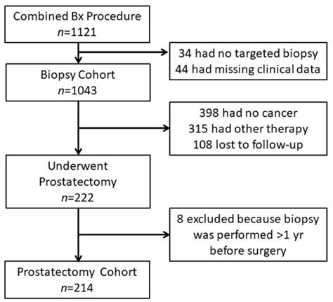 Cpt Code For Transperineal Prostate Biopsy