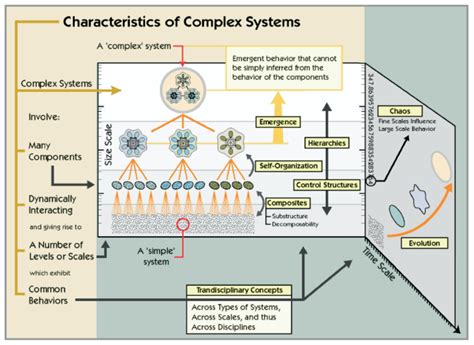 The Complex Adaptive Systems Models Characteristic Of Complex Adaptive