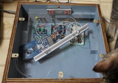 Man Uses Arduino Set To Bring The Wild To His Pet S Feeding Routine TechSpot
