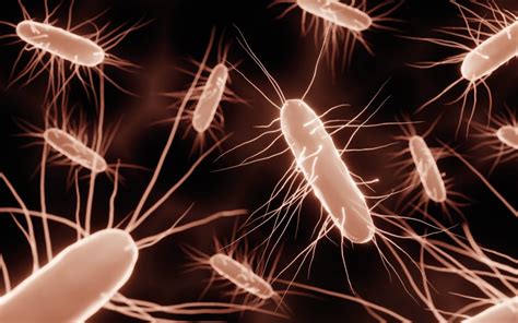 “diagnostic Stewardship Reduces Unnecessary Testing” Biomedical Scientist