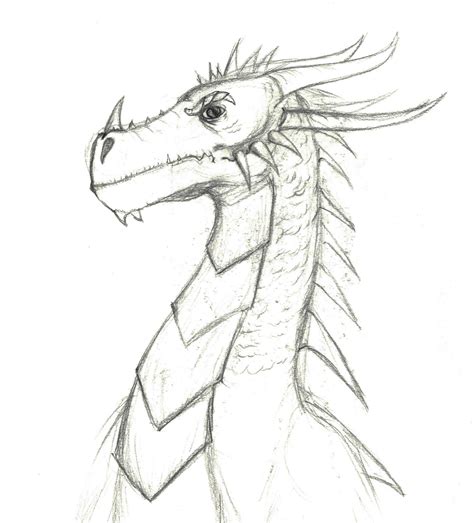 Dragon Body Drawing At Getdrawings Free Download