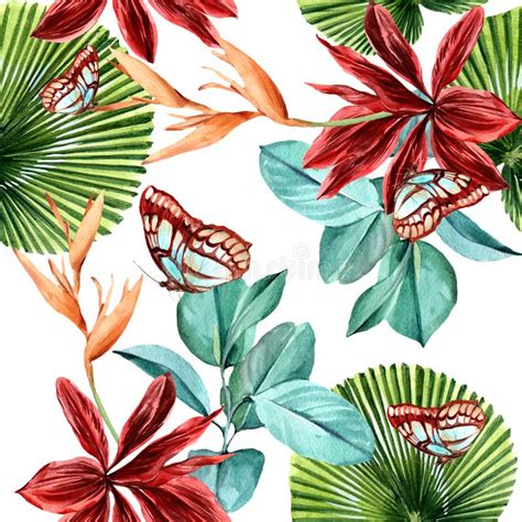 Pattern Design With Classis Tropical Theme Butterfly With Foliage