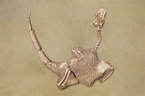 Sex Fire Simple Teknikker Giver Kvinder Mere Nydelse