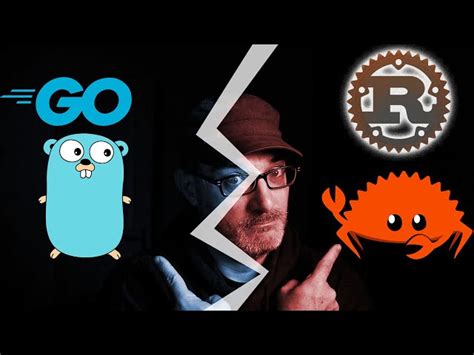 Go Vs Rust Which Programming Language Should You Learn In 2024