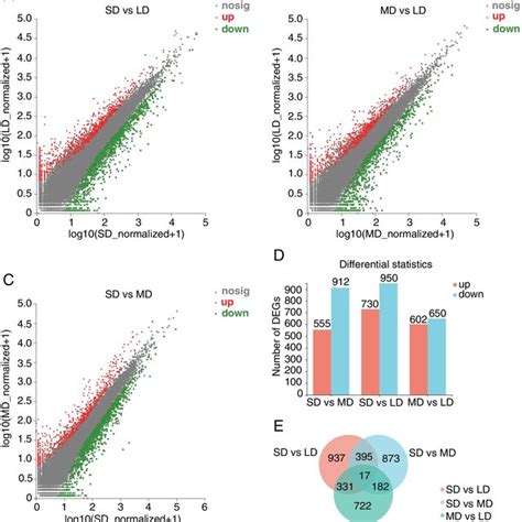 The Graphical Representation Of Differentially Expressed Genes Degs Download Scientific