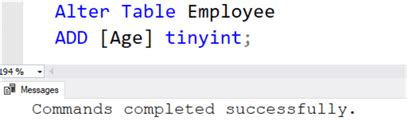 Append SQL Table With New Columns And Add New Data