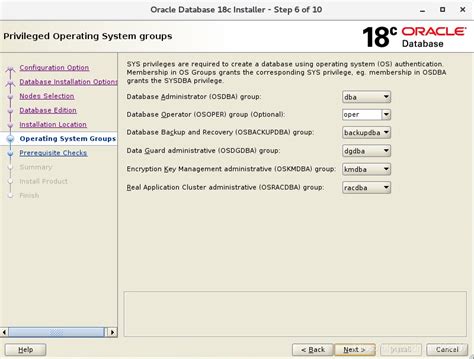 Oracle 18c Rac安装利用iscsi实现部署centos Oracle18c Rac Csdn博客