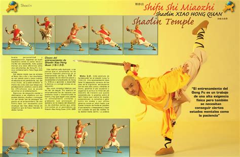 Shaolin Kung Fu Madrid Shaolin Xiao Hong Quan