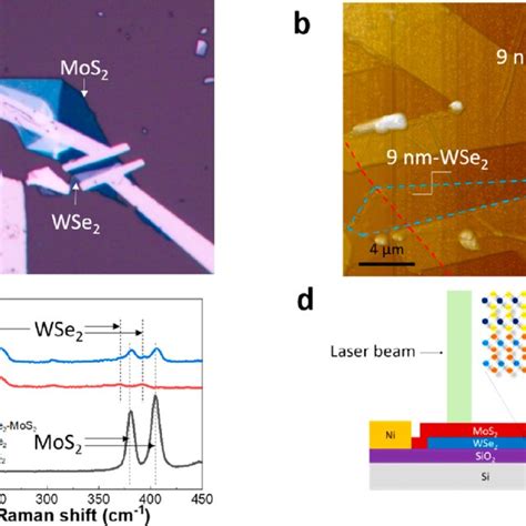 Photodetection Performance Of Dual Gate Organic Phototransistor A Download Scientific Diagram