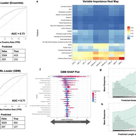 Automl Model Prediction Of 90 Day Mortality With Predicted Nodal Ratio