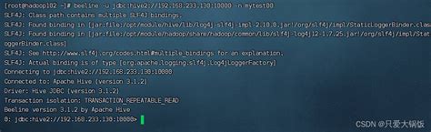 Apache Ranger：二对hive集成简单使用apache Ranger Hive Csdn博客