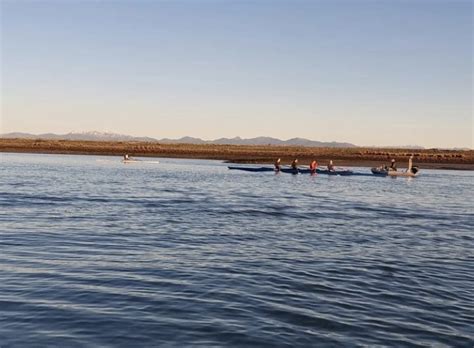 Study Nelson Schüler Blog Carlotta