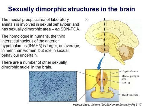 Unib30004 Sex Science And The Community Ppt Video Online Download