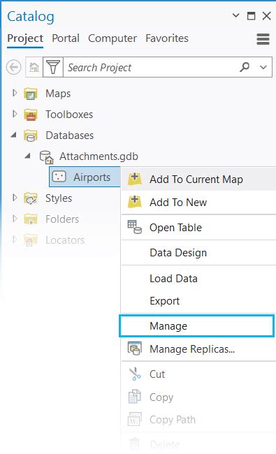 Enable AttachmentsArcGIS Pro Documentation