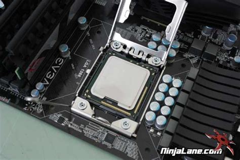 Installing An Intel 1366 Core I7 LGA Processor Processor Install Ninjalane