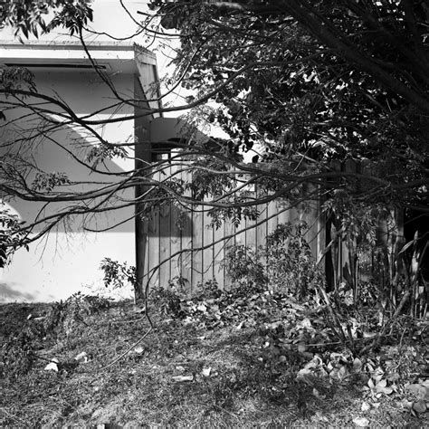 Images Found Steve Barry