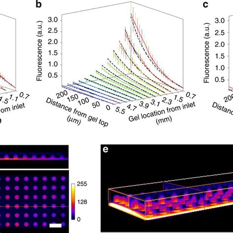 Experimental And Computational Characterization Of Gradient Generation