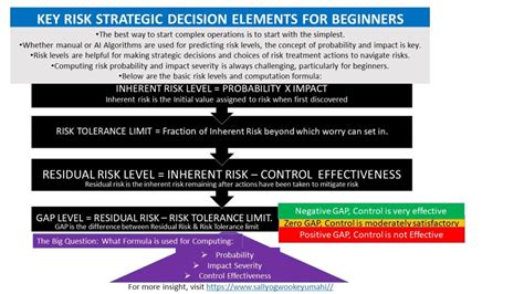 Key Risk Strategic Decision Elements For Beginners Sally Ogwo Okey Umahi