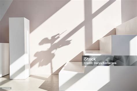 계단 연단 계단 플랫폼 계단이 있는 연단 제품 시연을 위한 햇빛과 그림자가 있는 스튜디오 룸 배경 열대 식물의 그림자 기하학