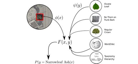 Our Proposed Framework Learns The Compatibility Function F X Y Download Scientific Diagram