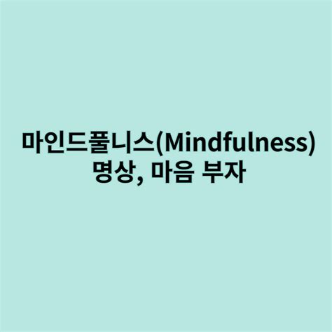 마인드풀니스 Mindfulness 마음 부자 명상