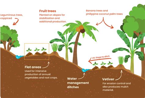 The Importance Of Managing Our Water — Plenitud Pr
