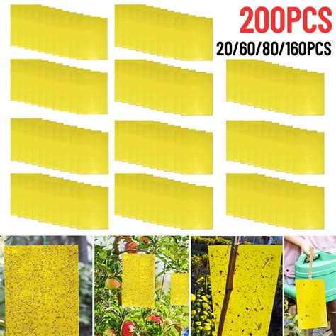 S7bde87ae324e4a03b3f1e873c3def73bc